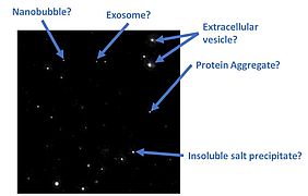 Colloid Metrix: Characterization of Extracellular Vesicles via ...